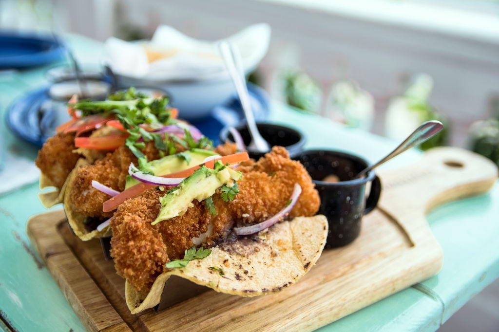 Te recomendamos donde comer en Cancún - Best Tourist Maya