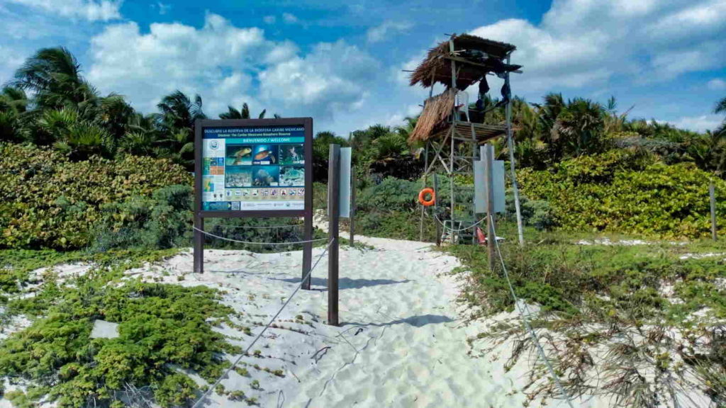 Playa Xcacel - La joya perdida del caribe mexicano - Best Tourist Maya