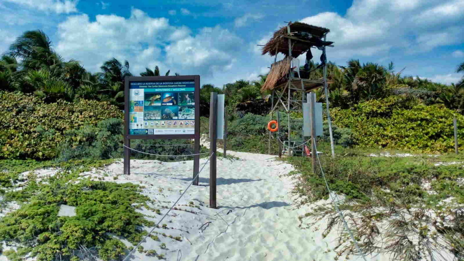 Playa Xcacel - La joya perdida del caribe mexicano - Best Tourist Maya