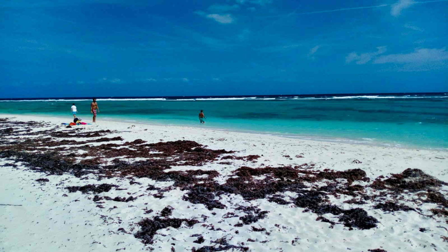 Playa Xcacel - La joya perdida del caribe mexicano - Best Tourist Maya